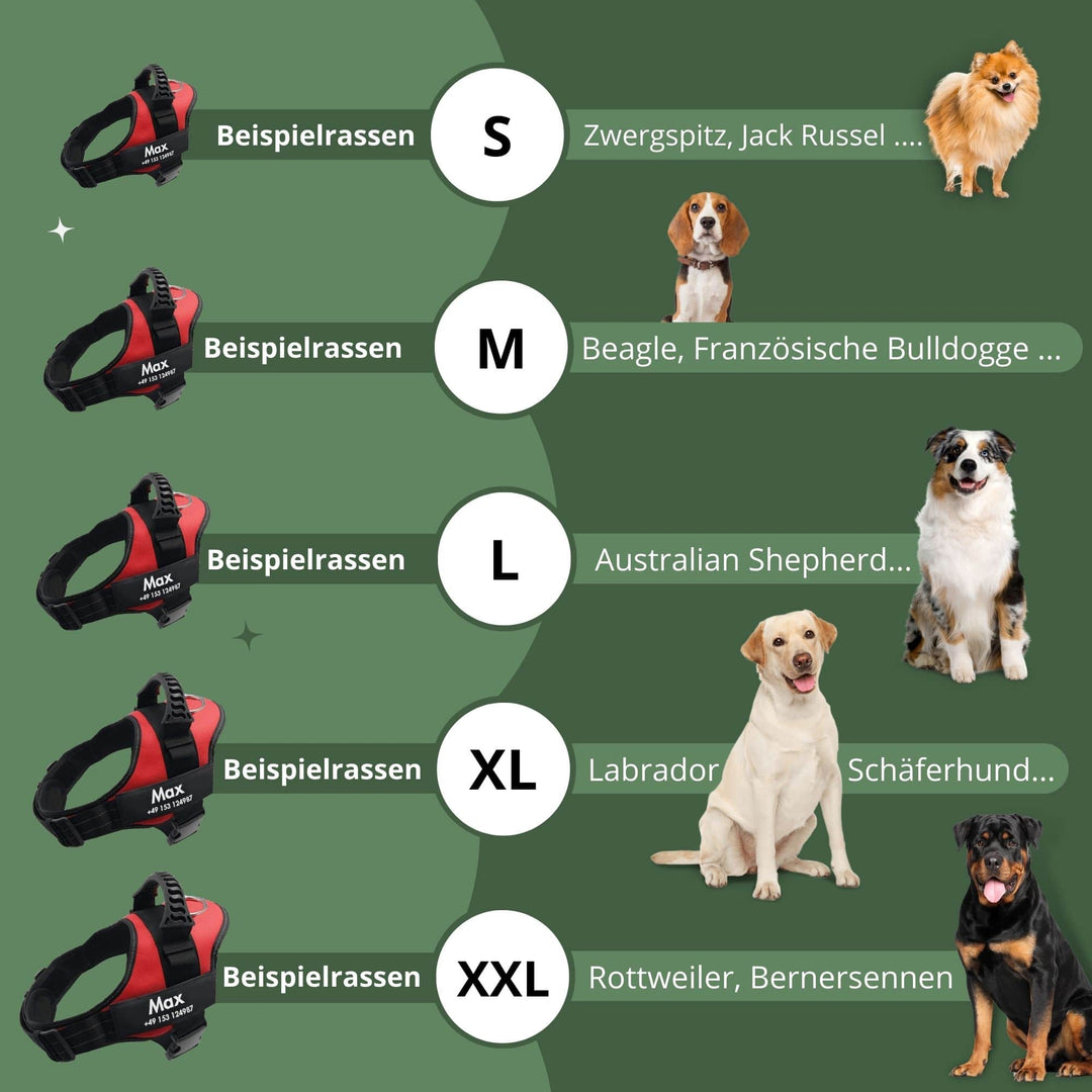 Anti Zug Geschirr Martin Rtter